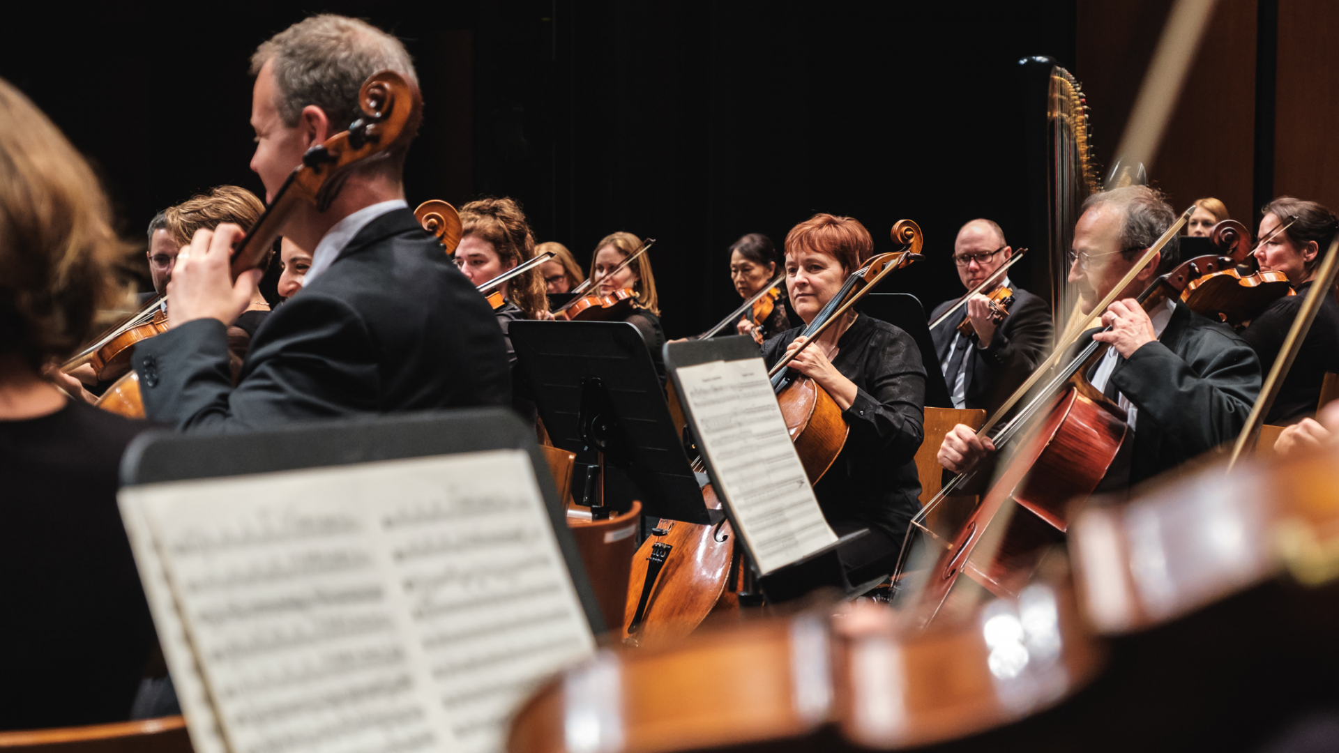 Meet | Symphonic Gallery