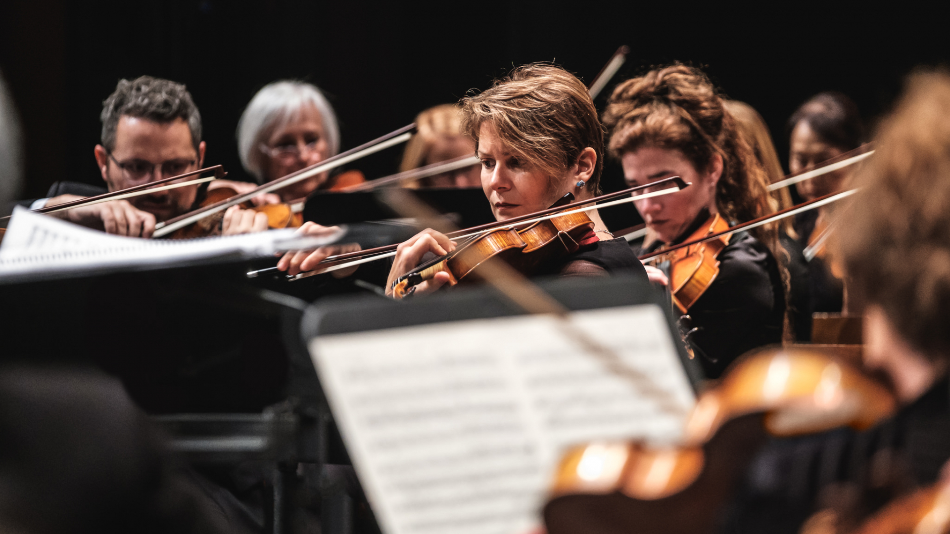 Meet | Symphonic Gallery